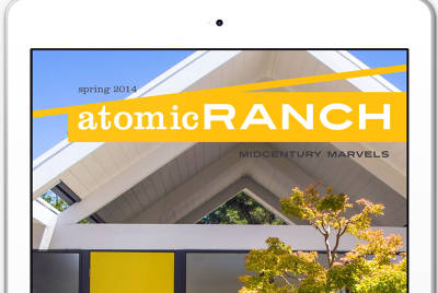 Stefani Guest Creative