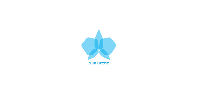 Blue Orchid - DS