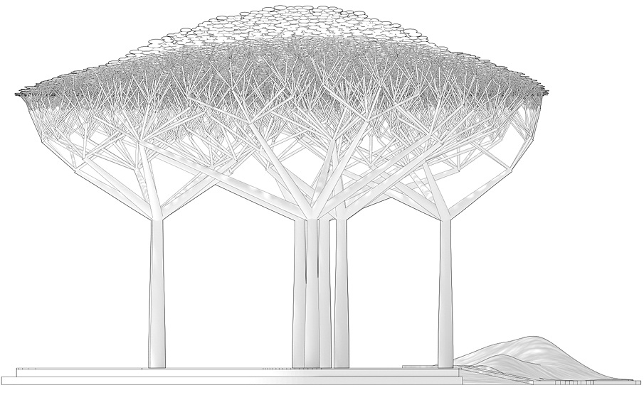 BLOOM PAVILION - FAULDERS STUDIO