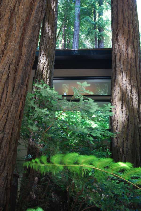 CMU HOUSE - FAULDERS STUDIO