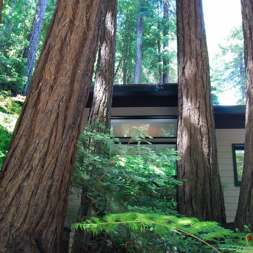 CMU HOUSE - FAULDERS STUDIO