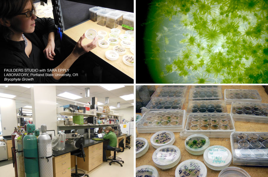 MATERIALIZED: PROTONEMATA - FAULDERS STUDIO