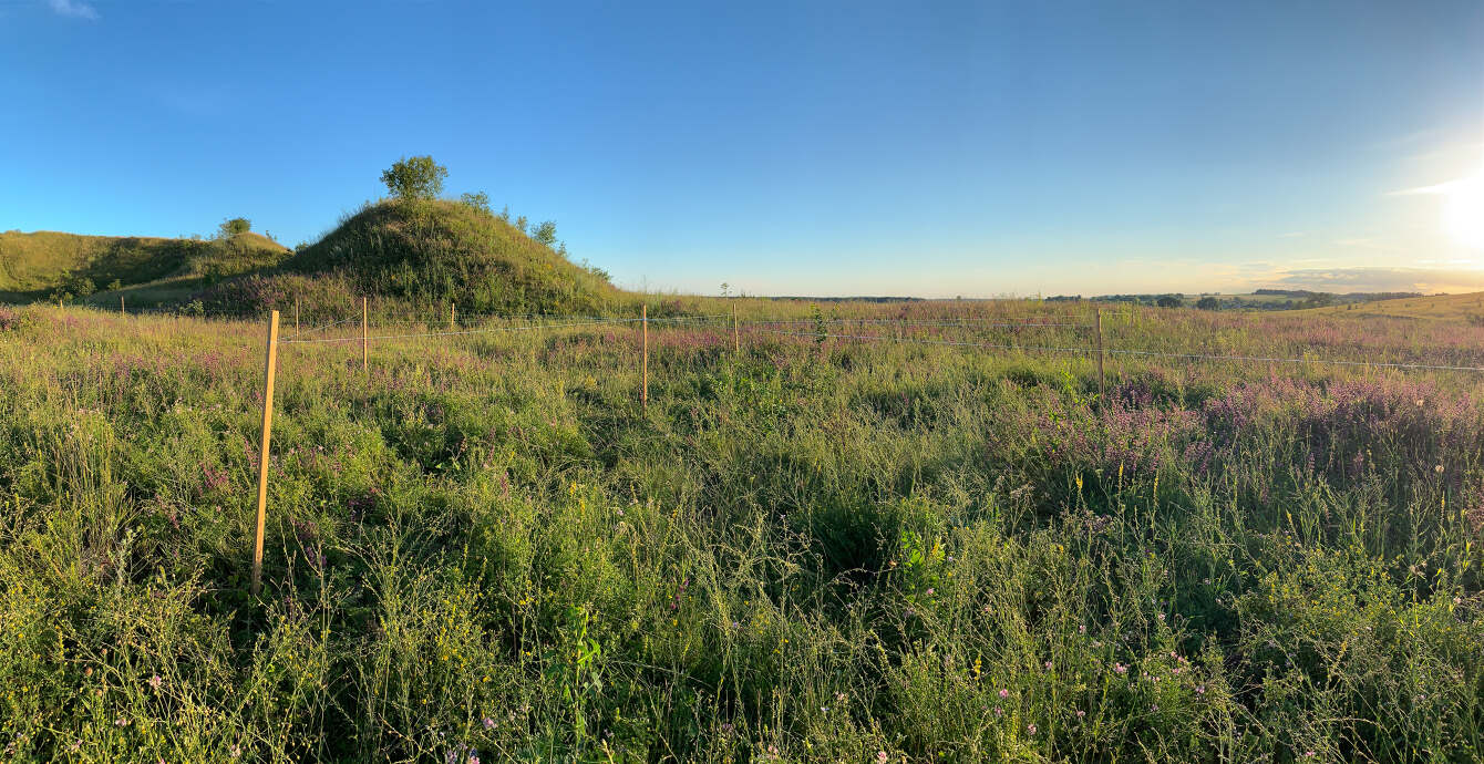 20.07.16 Surveys; figs. 10, 30, 16 - clemenspoole.com