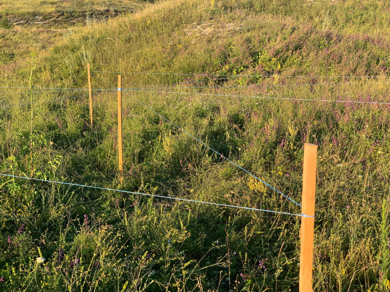 20.07.16 Surveys; figs. 10, 30, 16 - clemenspoole.com