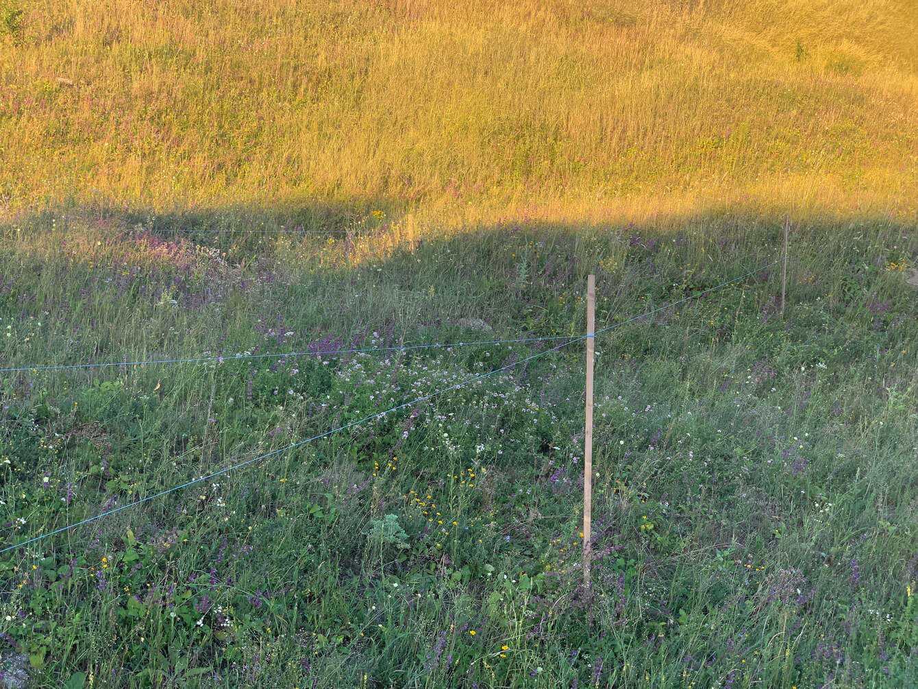 20.07.16 Surveys; figs. 10, 30, 16 - clemenspoole.com