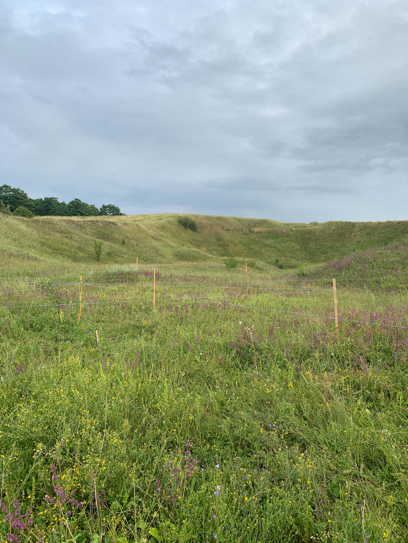 20.07.16 Surveys; figs. 10, 30, 16 - clemenspoole.com