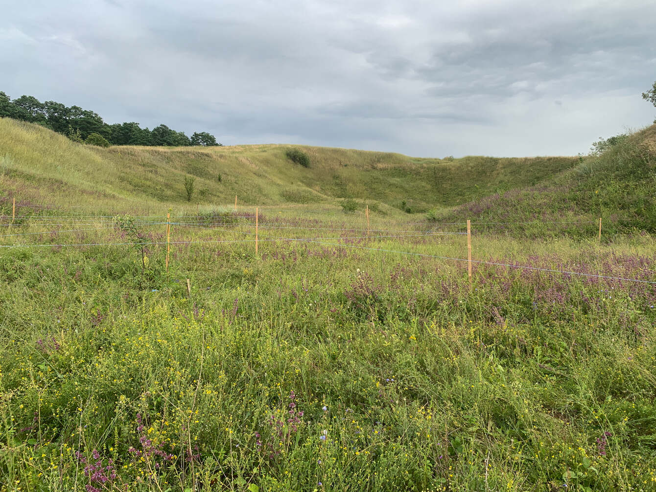 20.07.16 Surveys; figs. 10, 30, 16 - clemenspoole.com