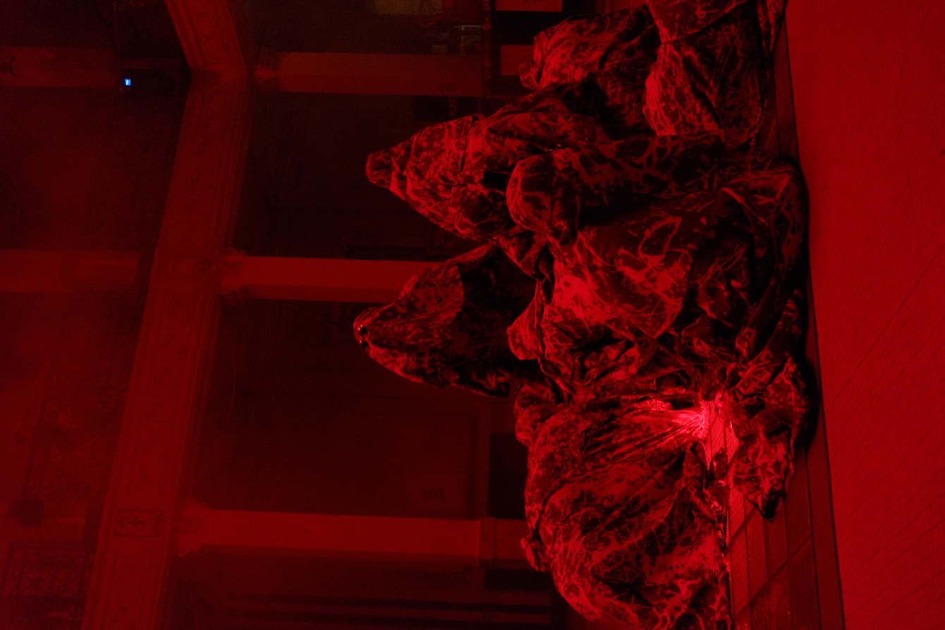 BULKY - ALEXANDRE BAVARD