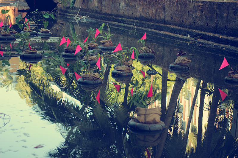 Floating Flower Garden - zuri / work