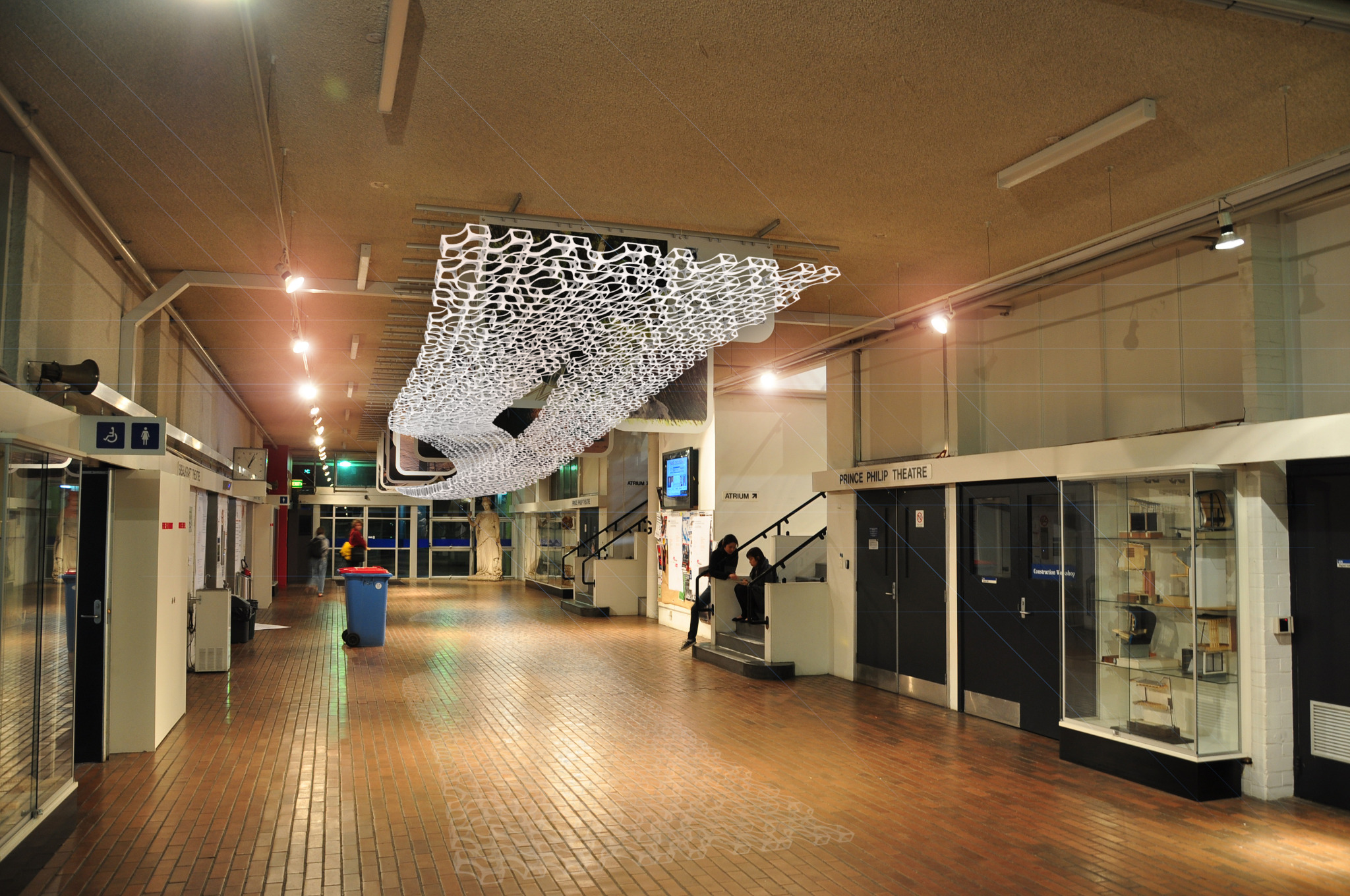 Parametric Skin Ceiling, Australia - Shuli Sun (Maxwell)