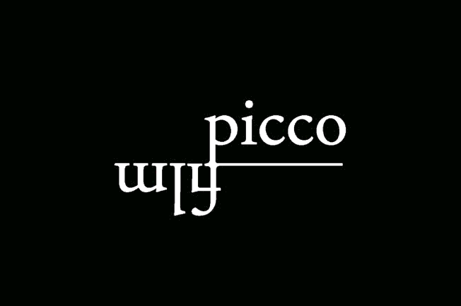 picco-studio.com