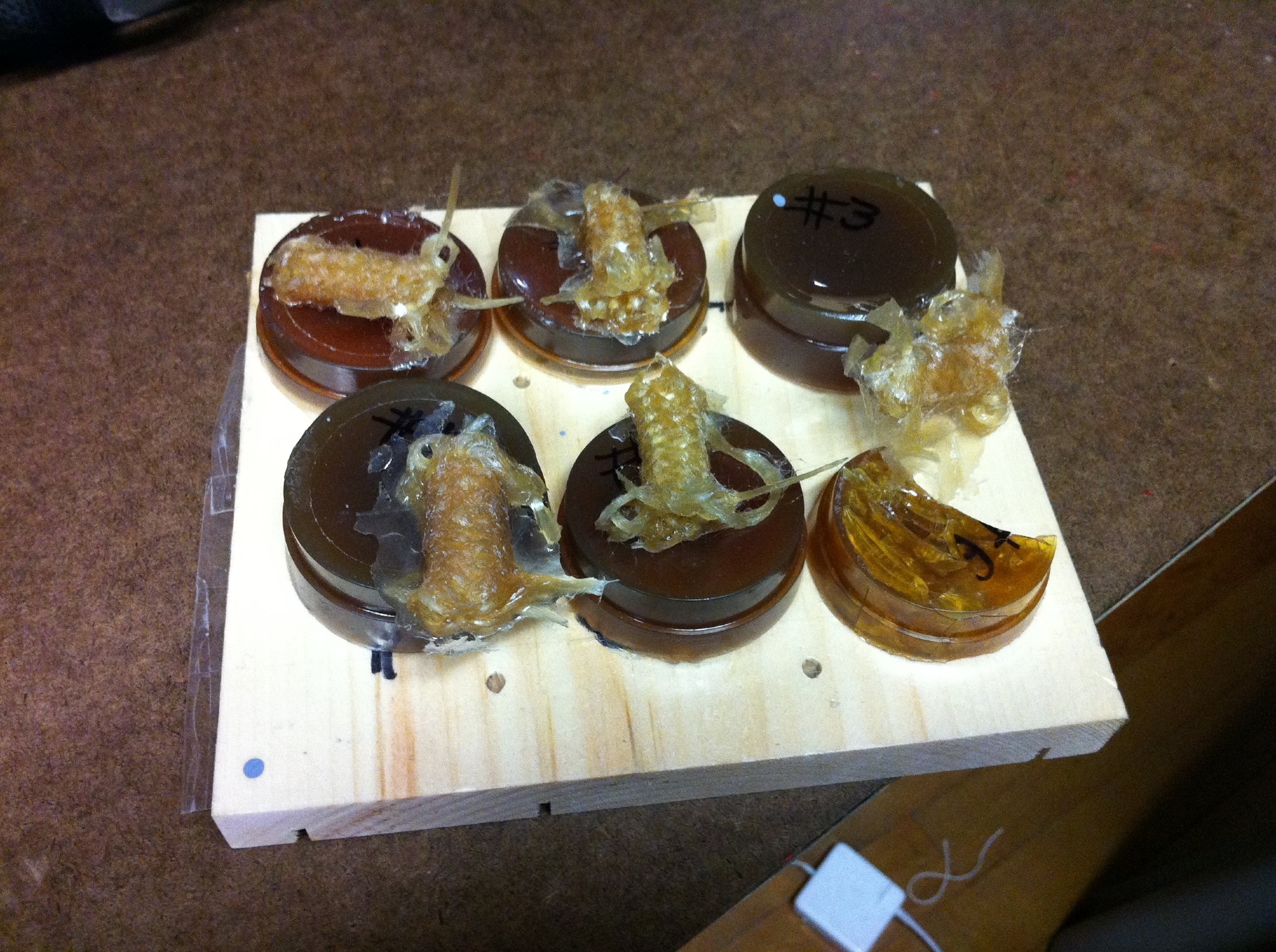 Fiberglass Bench Process - Kyle Chambers Design