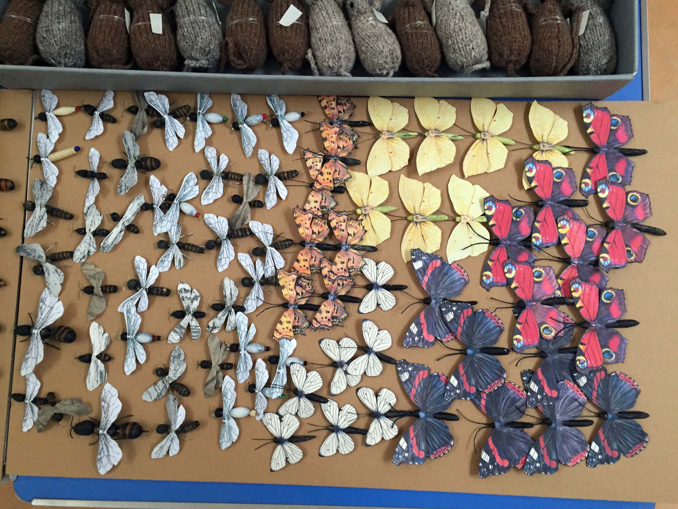 Swarm Installation at Skelton Grange Environment Centre - Laney Birkhead