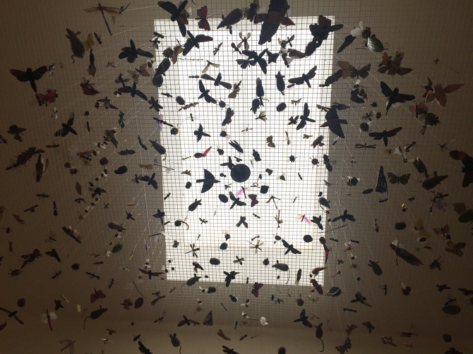 Swarm Installation at Skelton Grange Environment Centre - Laney Birkhead