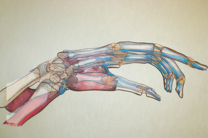 Hand Surgery 1.0 - Stephanie Rose Muscat