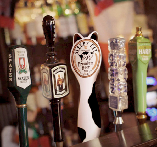 Sleepy cat beer - Aska