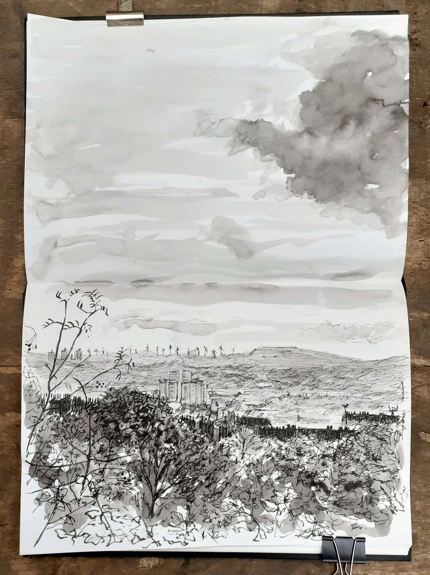 Emily Chappell - Illustration