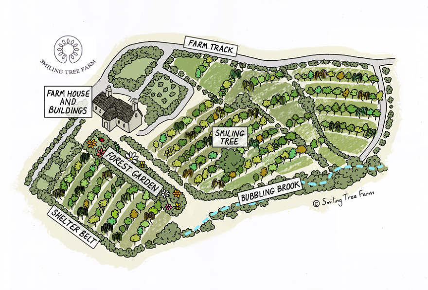 Emily Chappell - Illustration