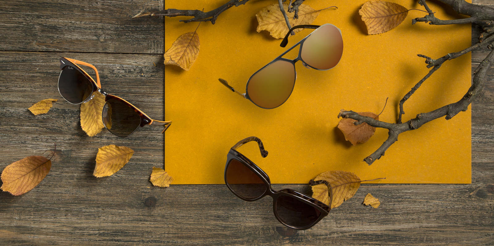 EYEWEAR STILL LIFE - wisign