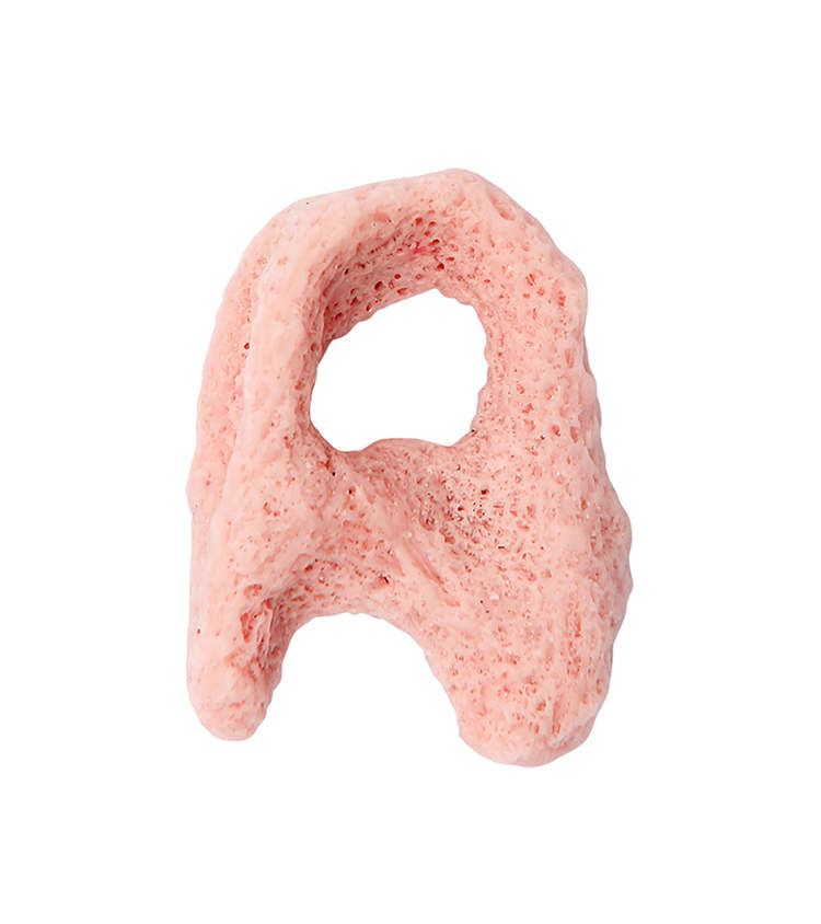 fish plaster - Monique Goossens