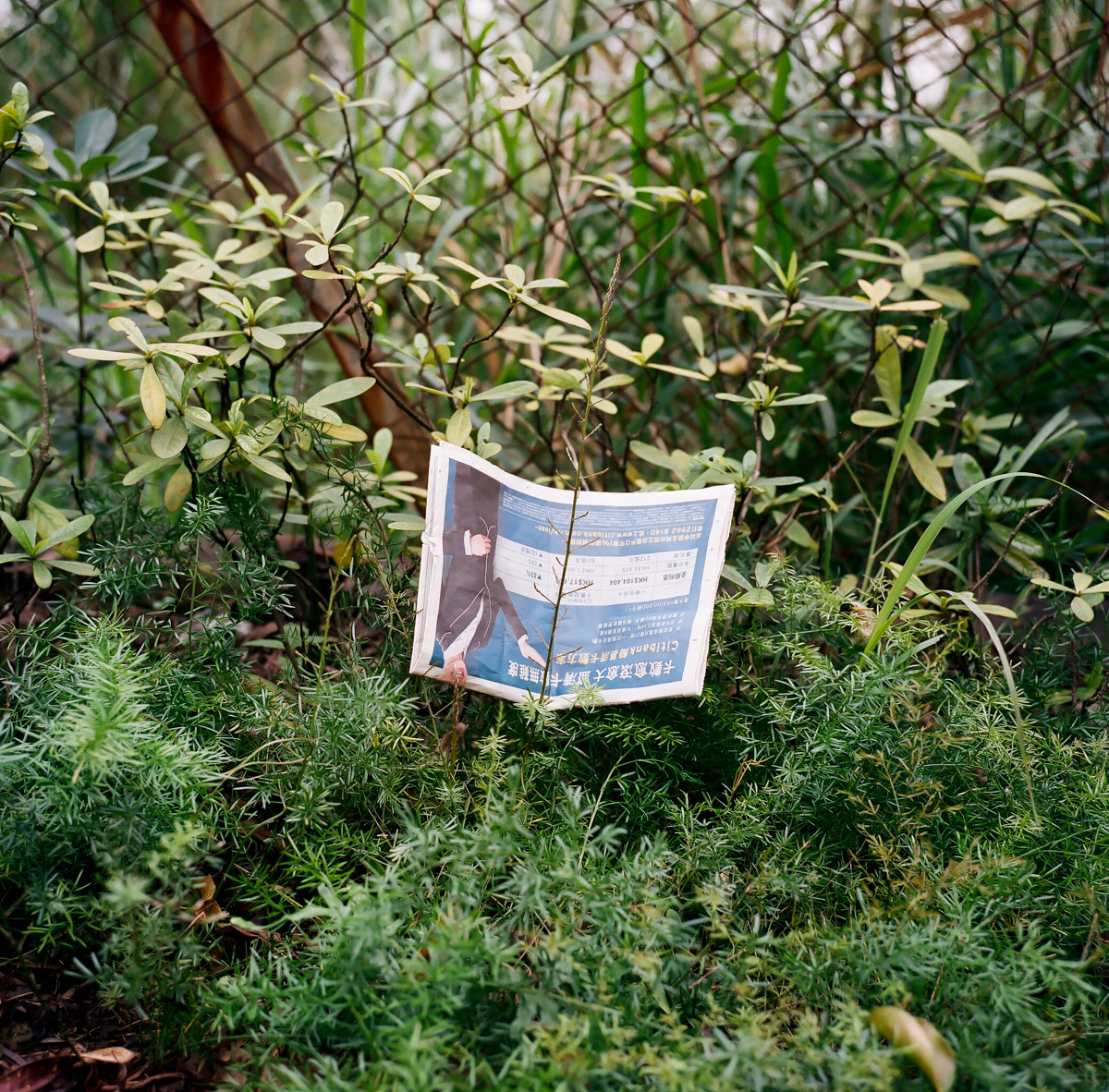 BORDER - Terry Ng