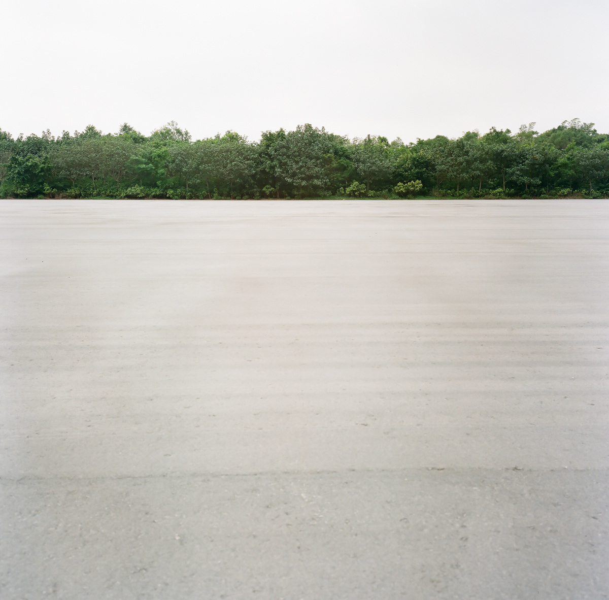 BORDER - Terry Ng