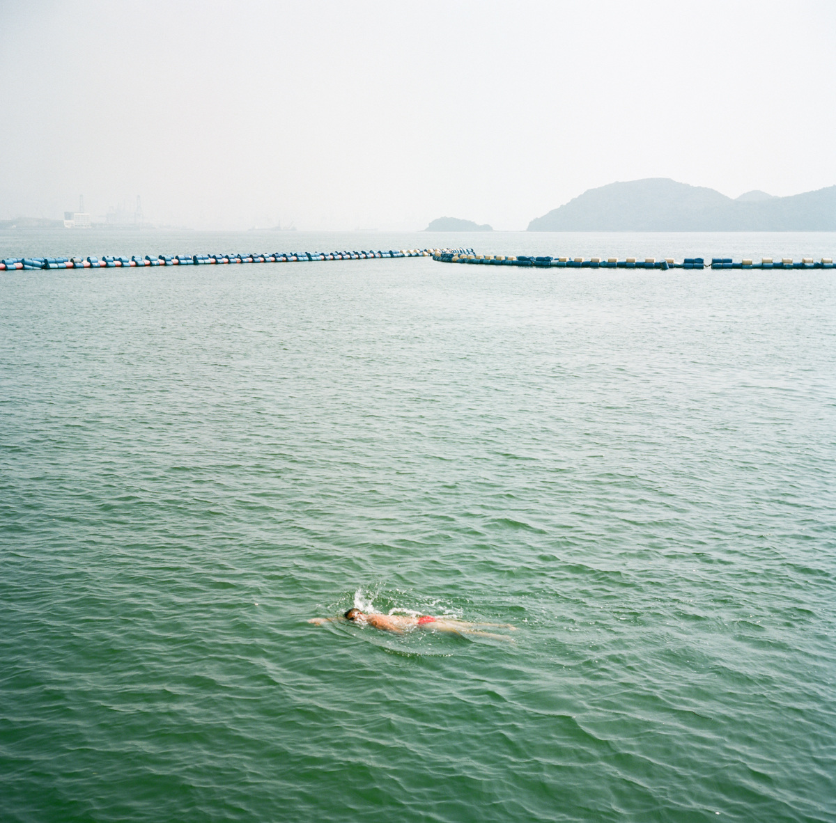 BORDER - Terry Ng