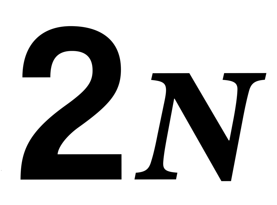 2N Branding - Crystal Lam