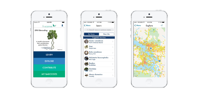 LIFESCANNER - Kenneth Lai UX Designer