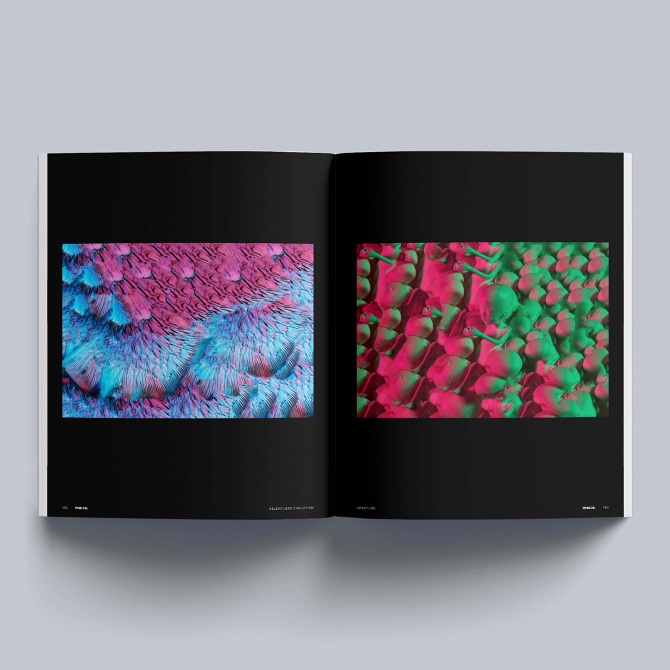 Maize Magazine - fokken sue