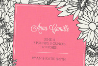 rachelle dunn | design & web development