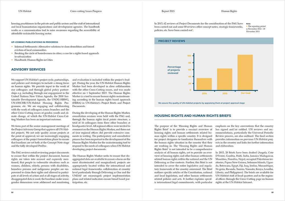 Cross Cutting Report 2015 - daniela venturini