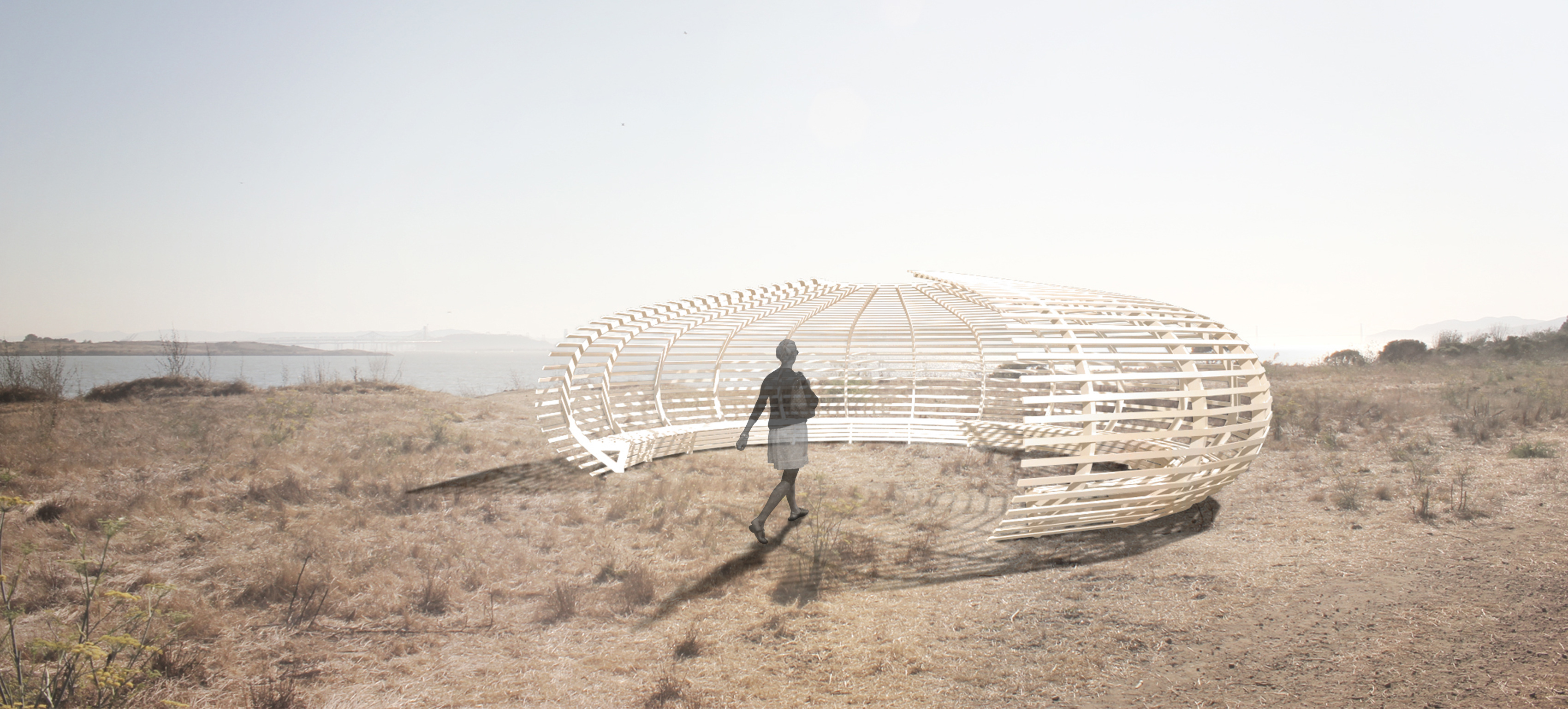 Structural Trellis - Portfolio