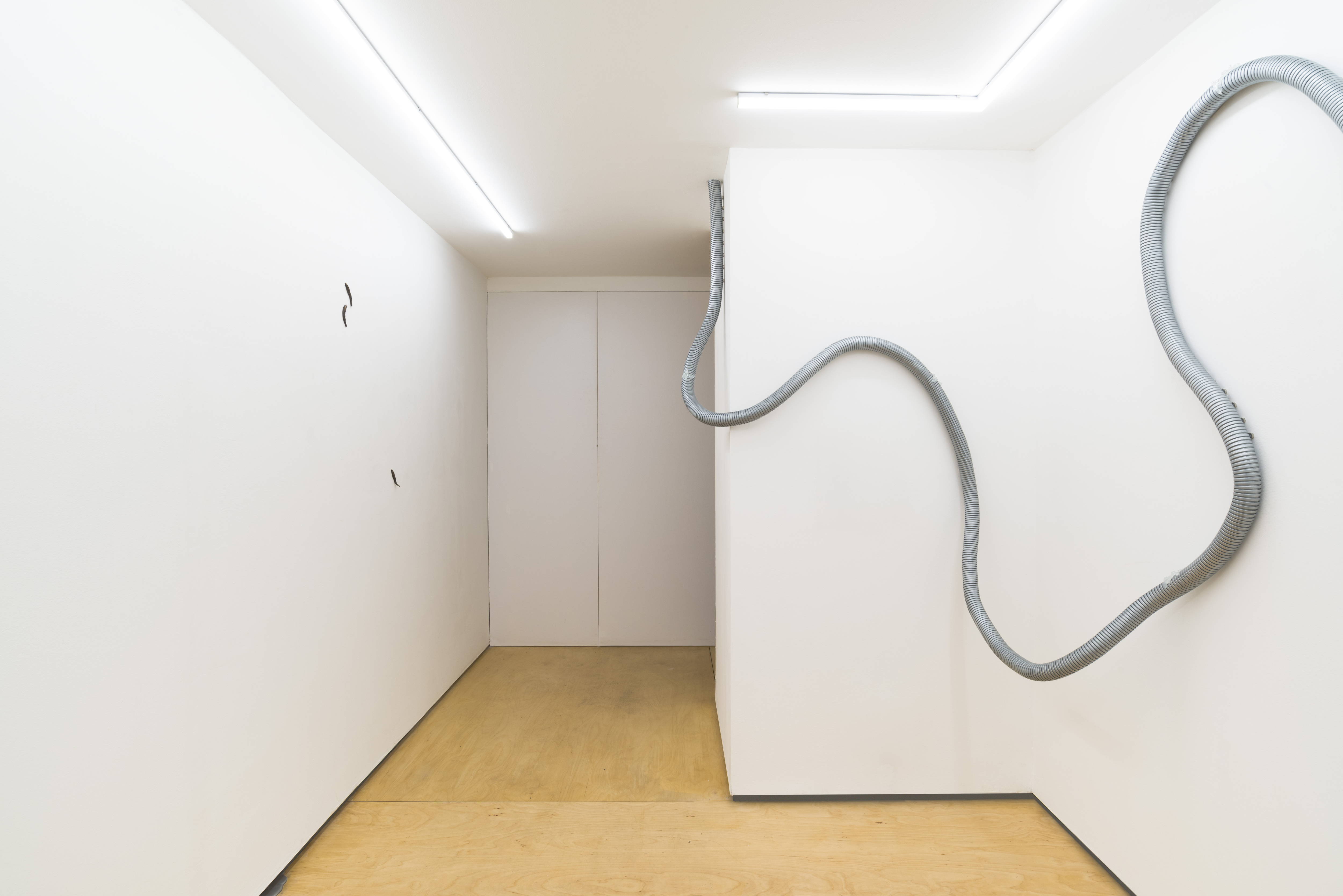 blubbing - Kate Fahey