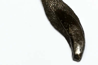 blubbing - Kate Fahey