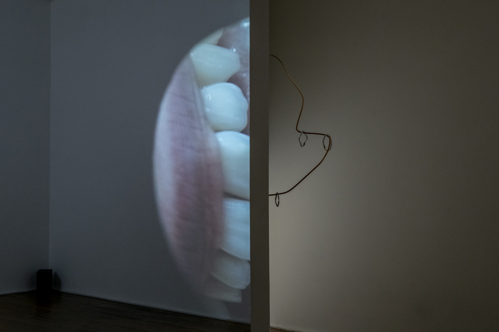 Mouthnotes - Kate Fahey