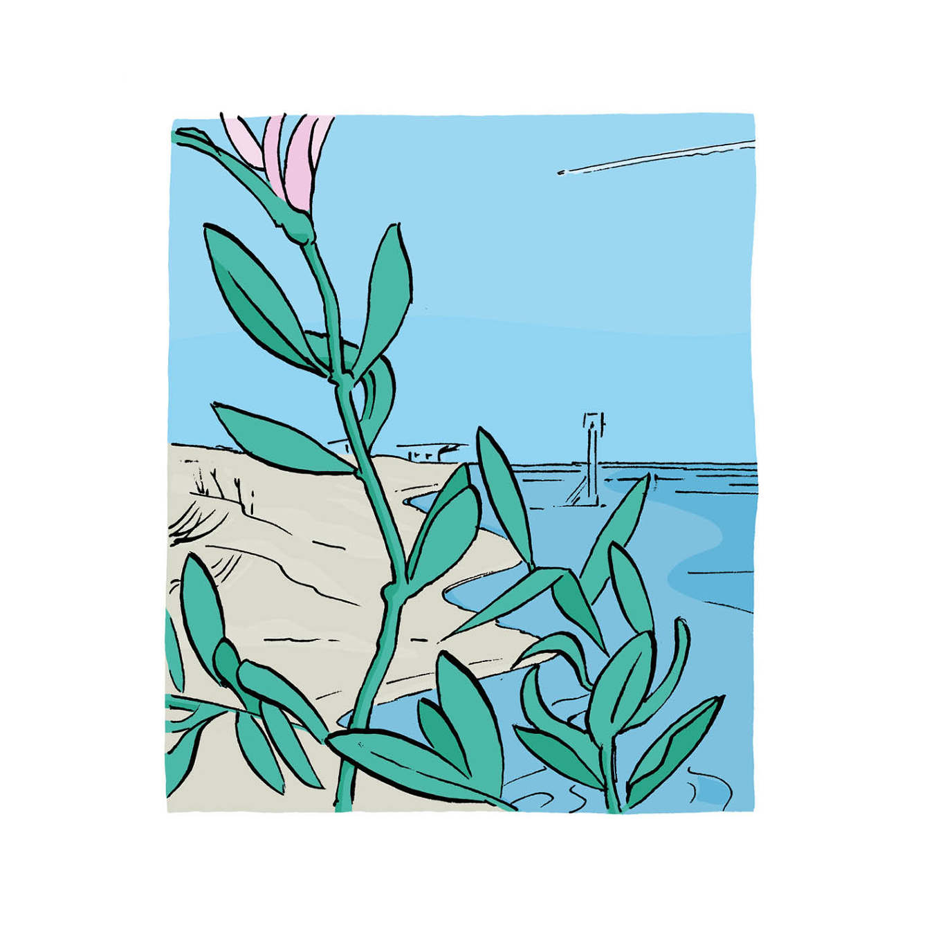 Inkpen illustration and design