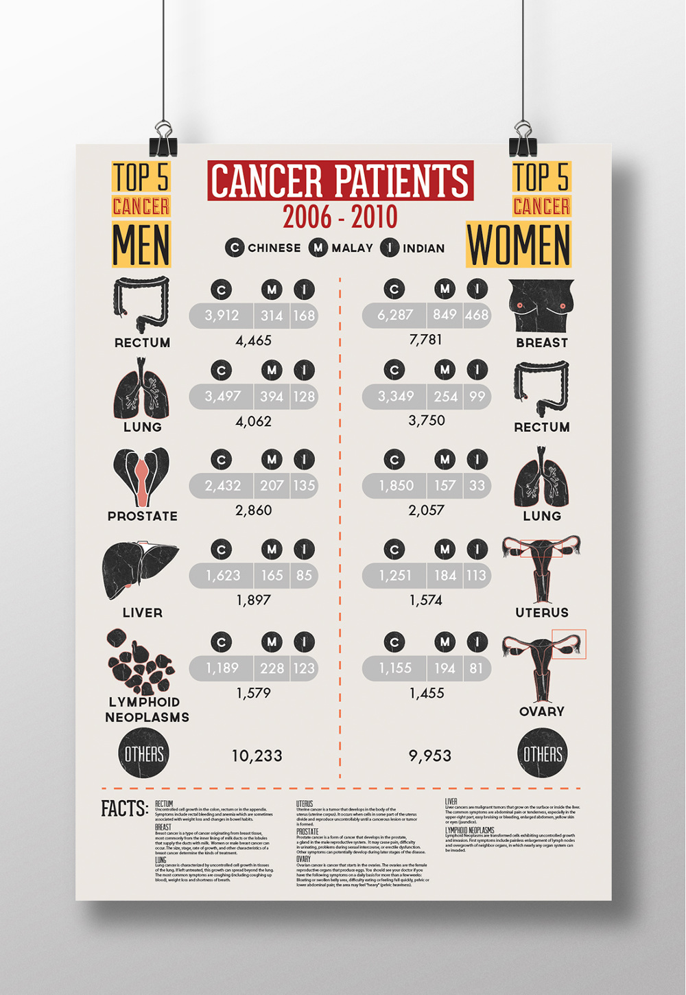 Cancer Infographics - Nidia Marissa