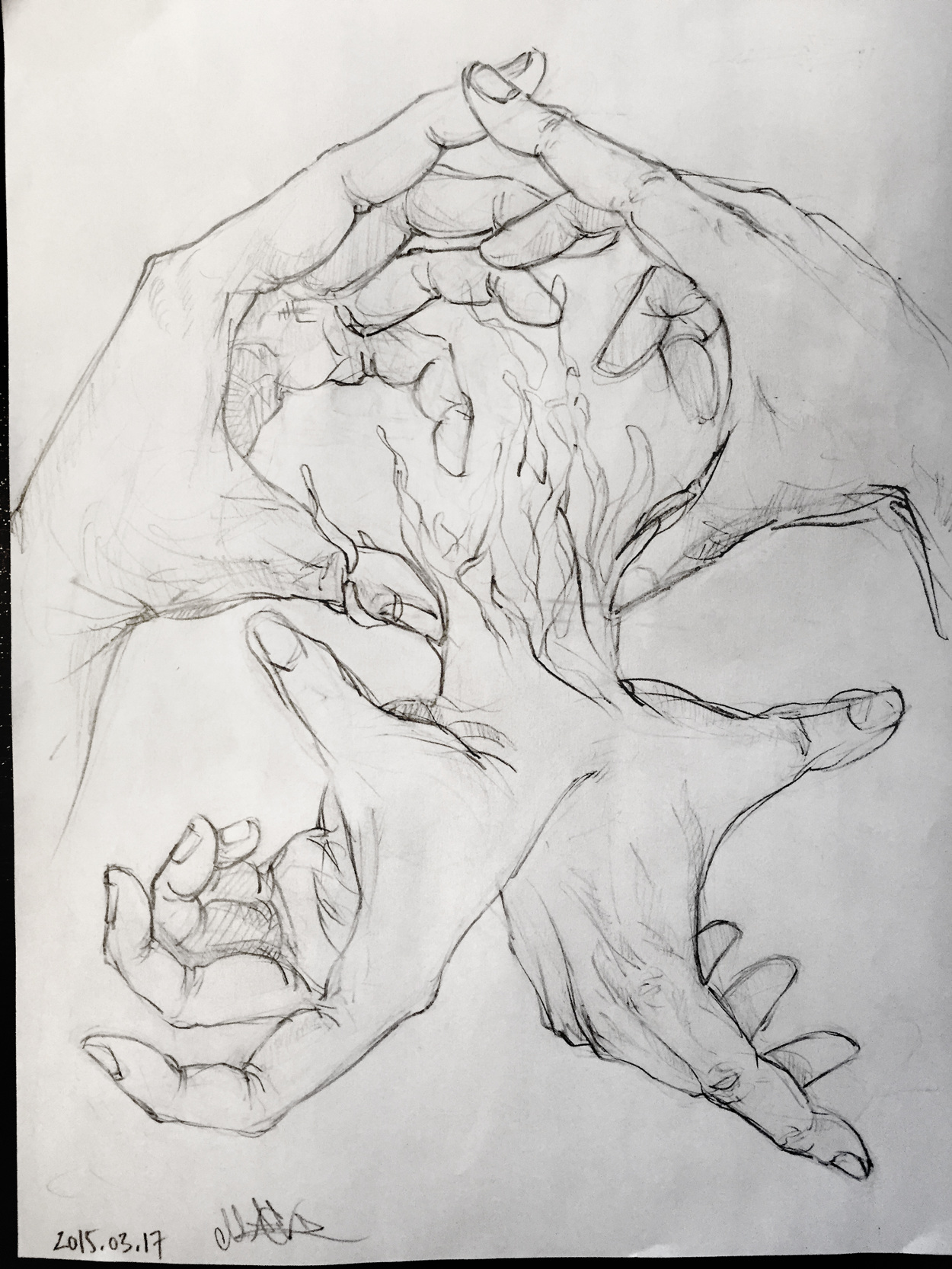 Hands Collection - Aude Guivarc'h Visual Art