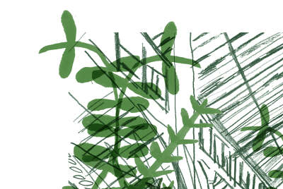 Nature - Hannah Pointer Illustration