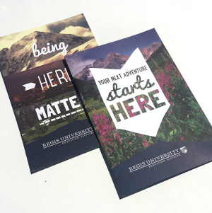 Ashley Shoemaker | Portfolio