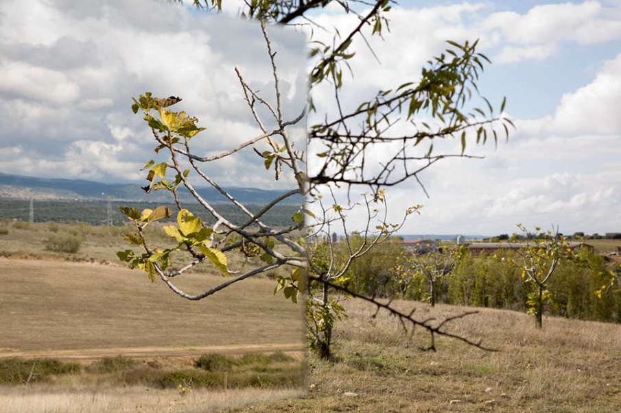 The ilusion of the Landscapes - Xenotopia, de lo desconocido a la ilusión de paisaje