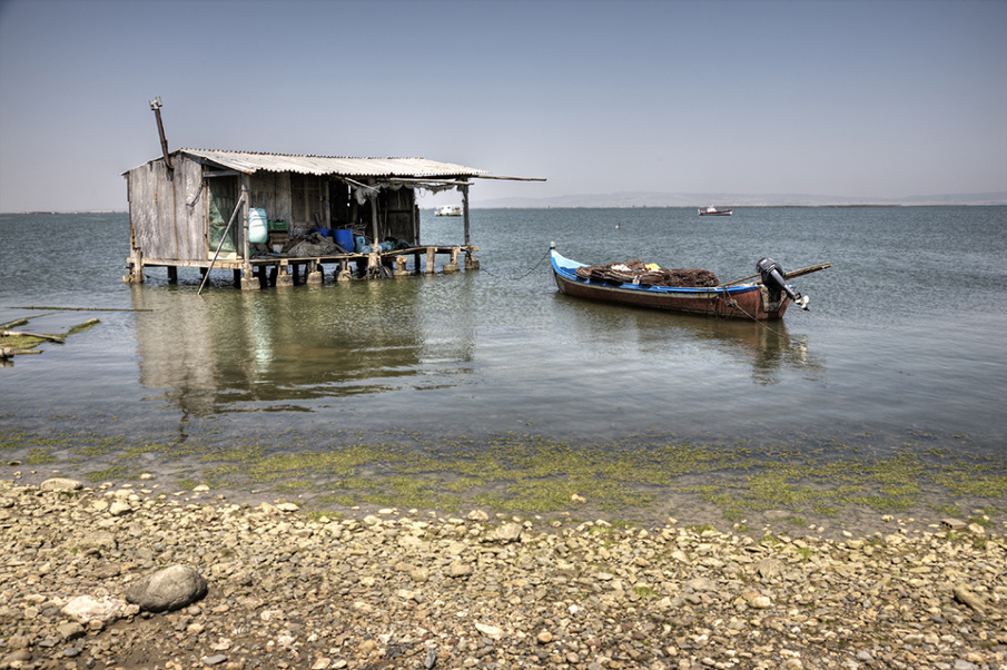 Photo projection - Xenotopia, de lo desconocido a la ilusión de paisaje