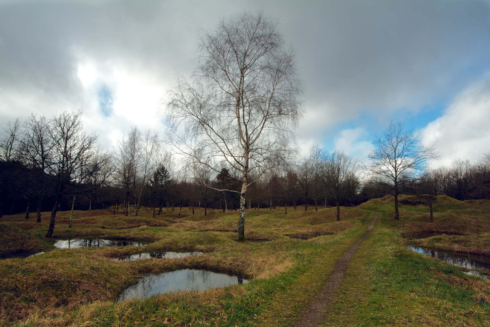 Centenary Landscapes - Robert Battersby: Photography