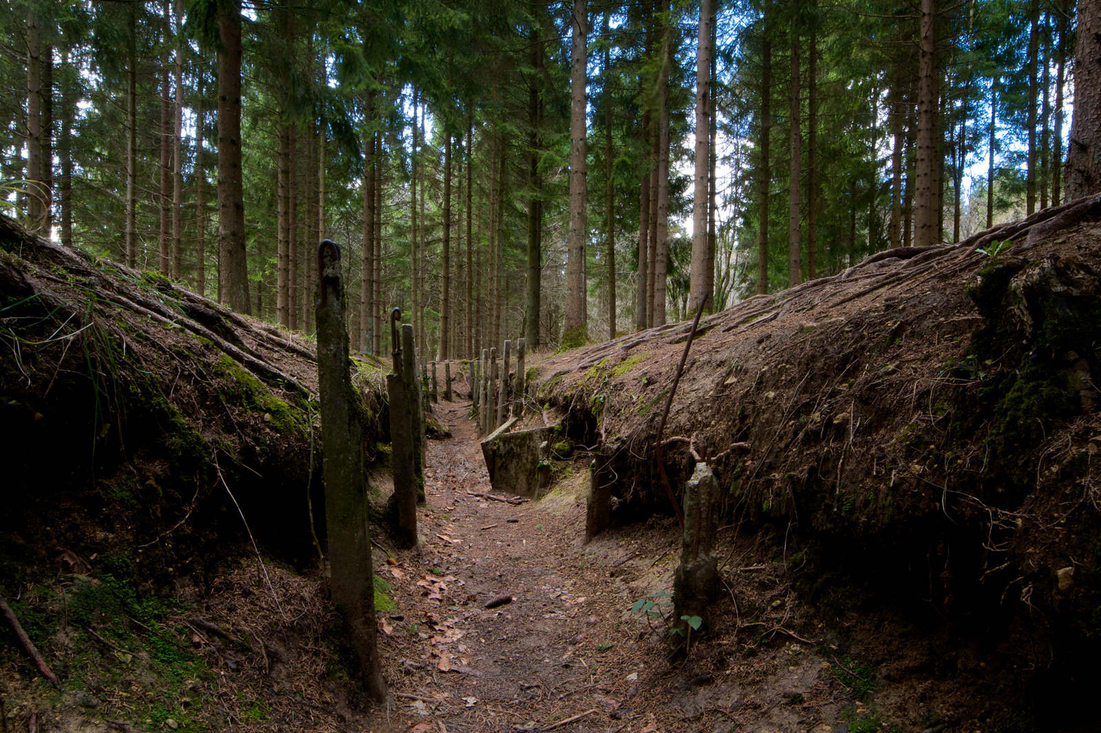 Centenary Landscapes - Robert Battersby: Photography