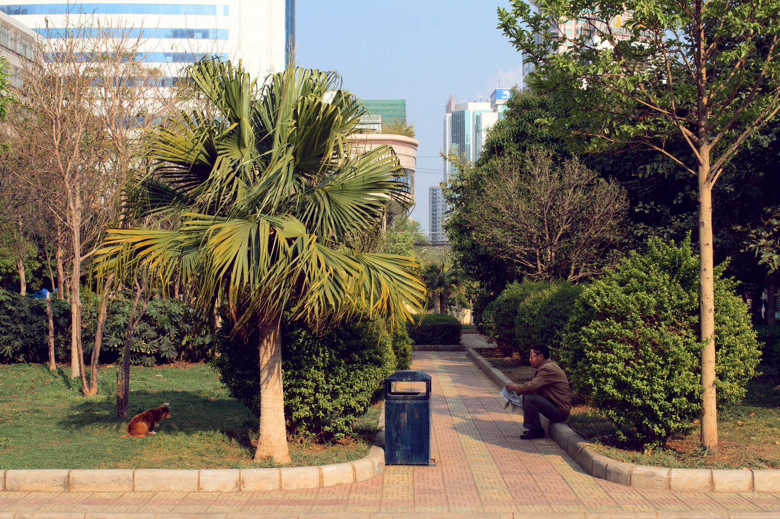 Robert Battersby: Photography