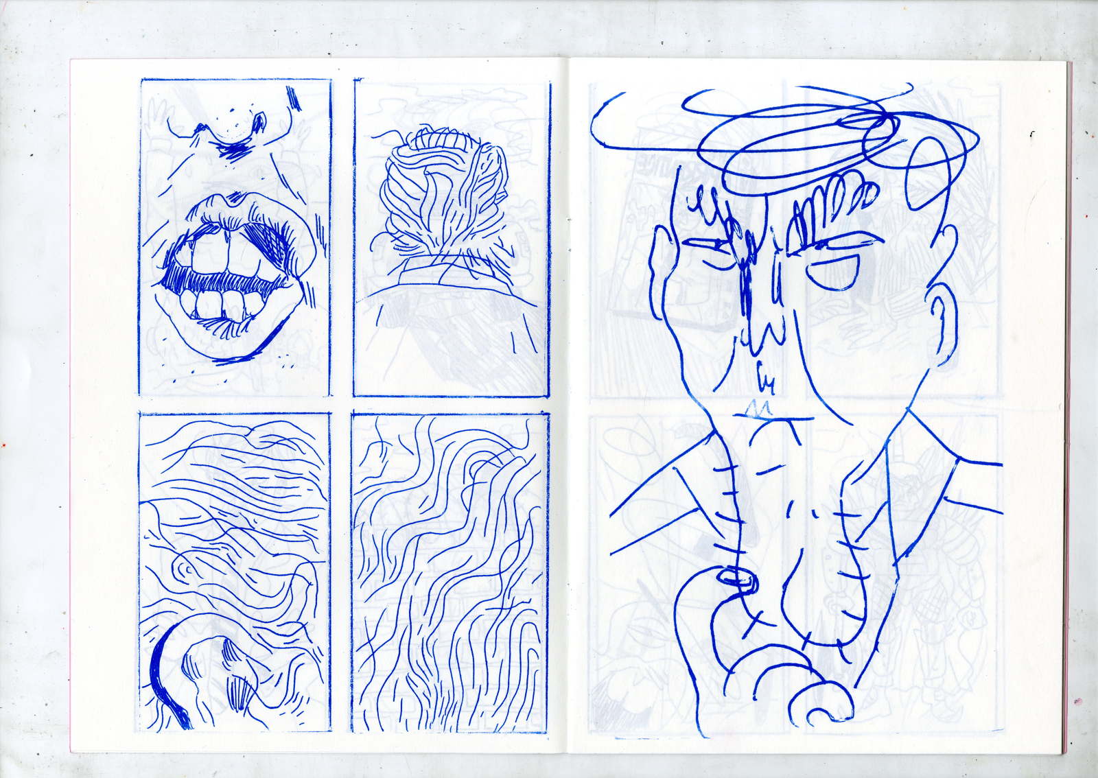 100 Trump Drawings - Tim Liedtke Design