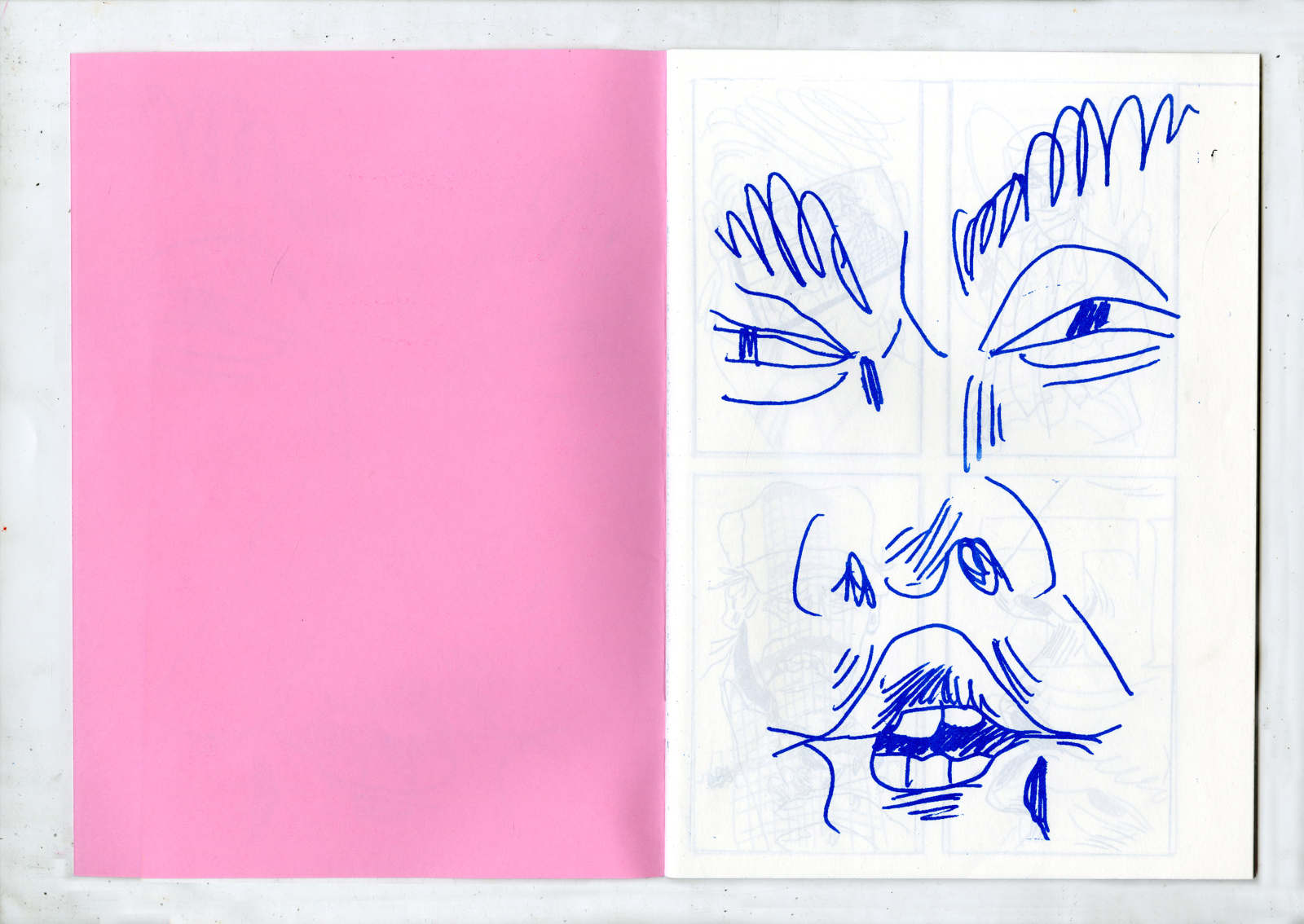 100 Trump Drawings - Tim Liedtke Design