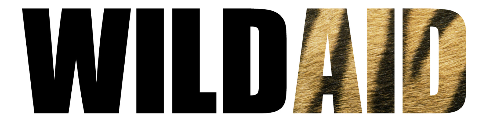 Thesis: WildAid - Rachel Wexler