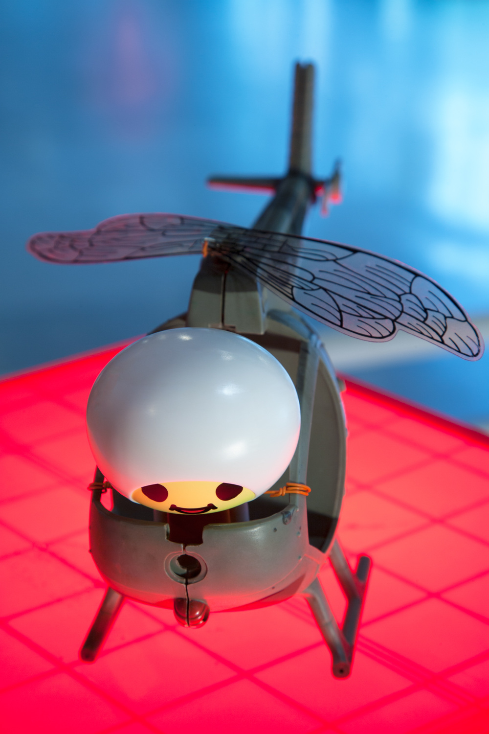 MAFFY THE WANDERER - Nicolas Jardry Photography